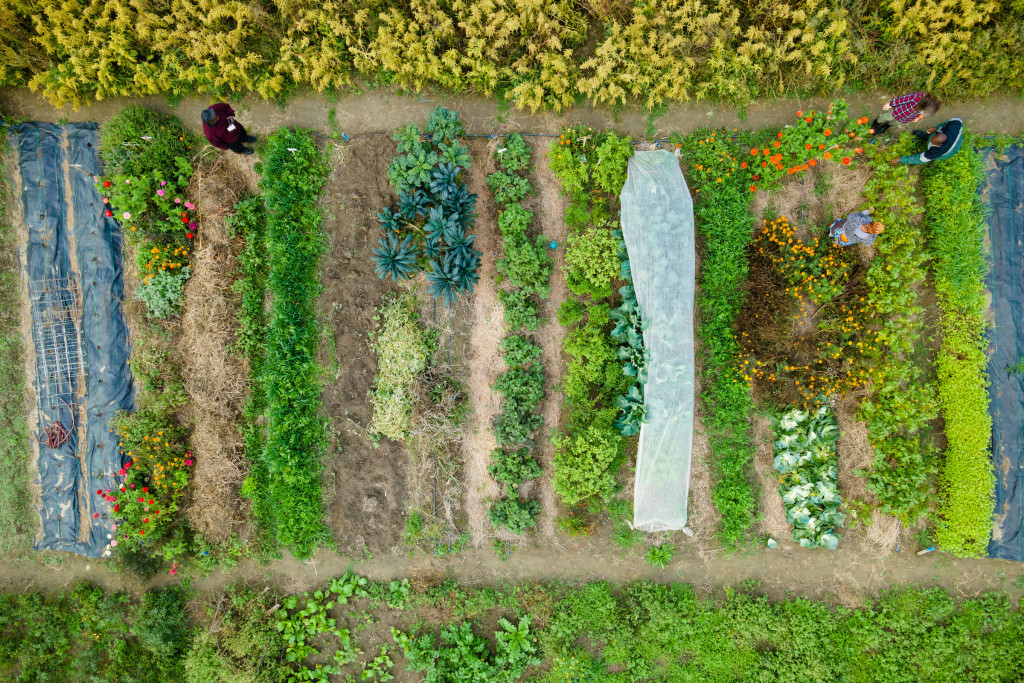 Programs - UVM Professional and Continuing Education