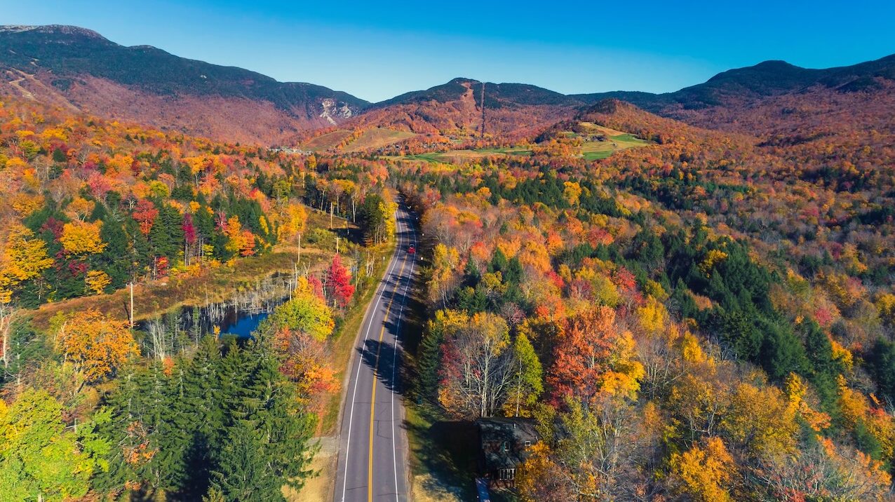 Tracking Down Vermont’s Endangered Plant Species with GIS - UVM ...