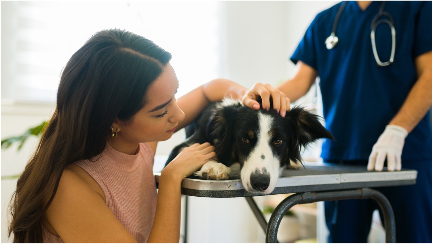 Provide Compassionate End-of-Life Care with UVM Doula Certificate