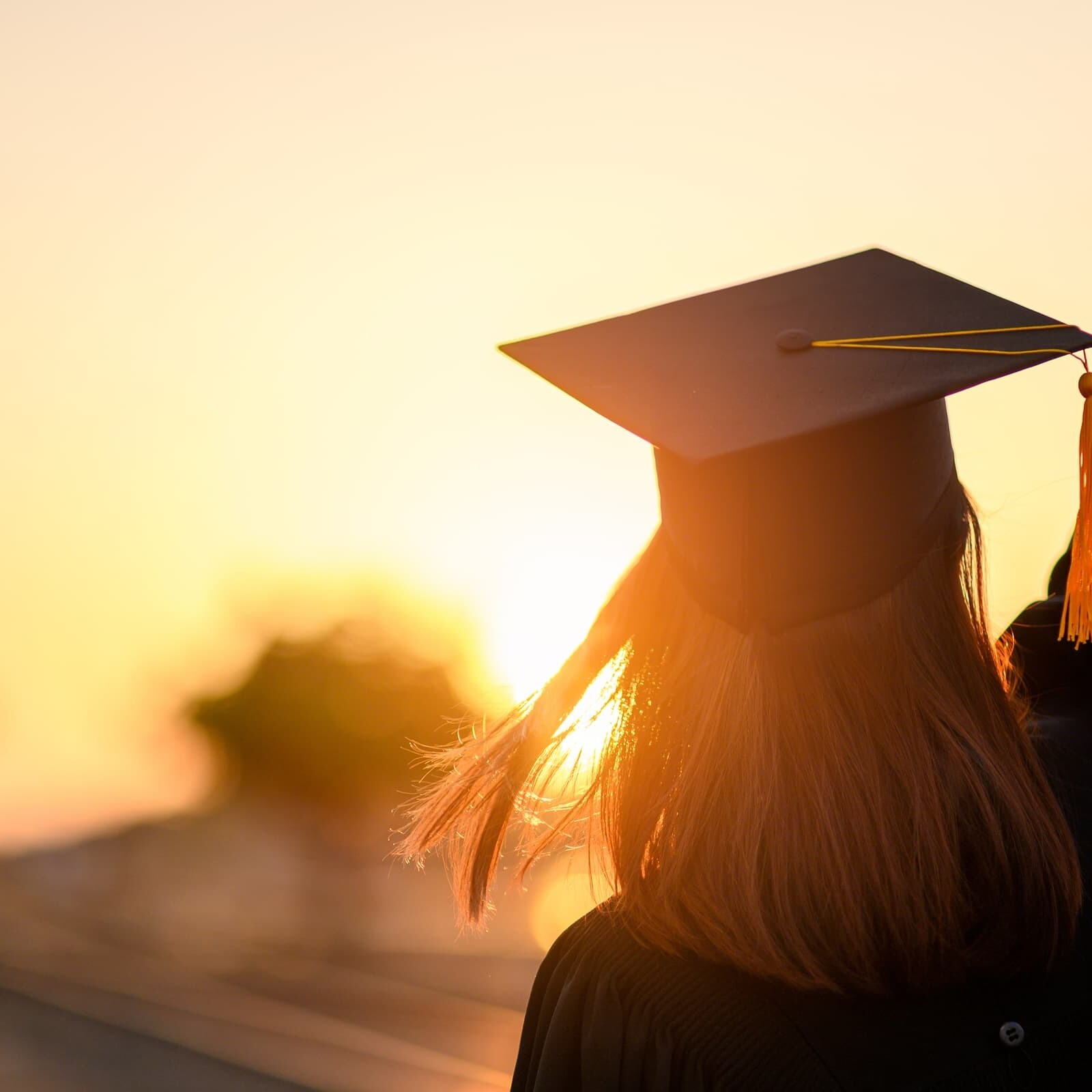 UVM Advance - UVM Professional and Continuing Education